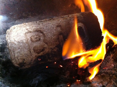 BioPellet, LLC - Testimonials from happy BioBricks customers